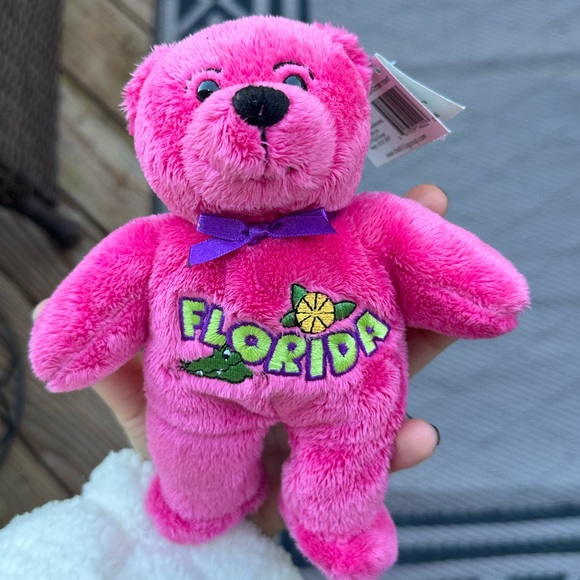 Toys | Fuzzy Pink Florida Teddy Bear With Tags | Poshmark
